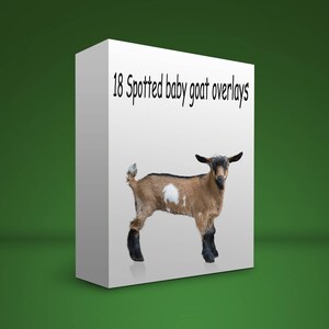18 Spotted Baby Goat Overlays - Etsy