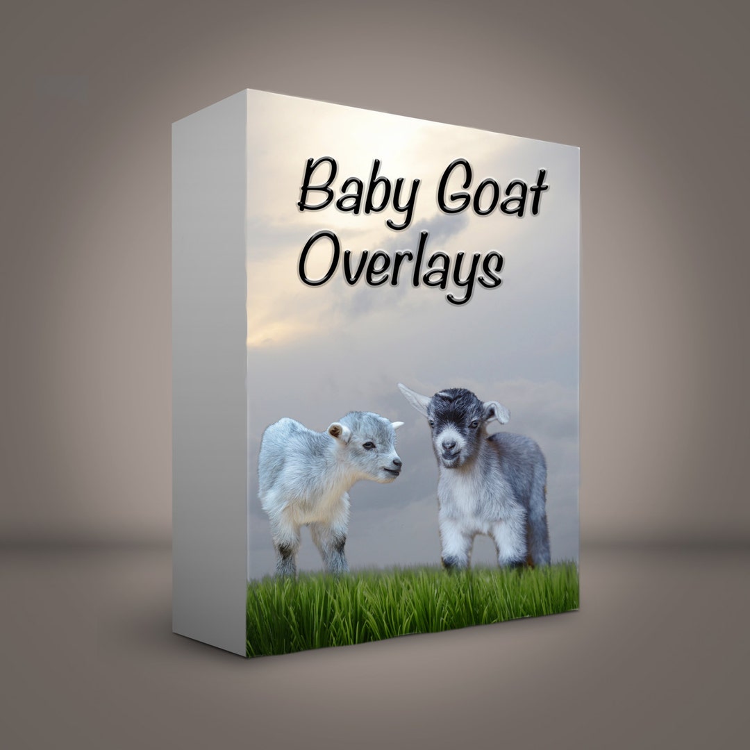 Baby Goat Overlays - Etsy