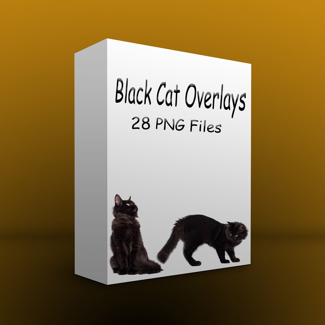 Black Cat Overlays. 28 PNG Files - Etsy
