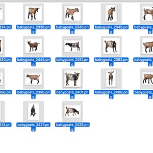 18 Spotted Baby Goat Overlays - Etsy