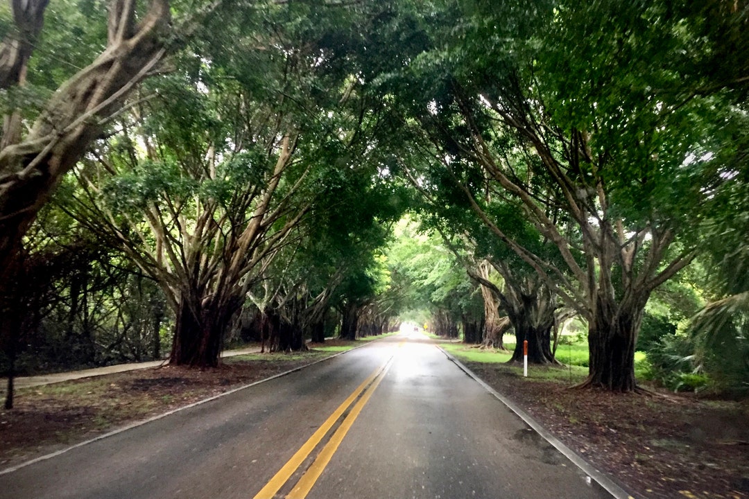 Bridge Road, Hobe Sound, Fl, Looking East From the Waterway Towards A1A ...
