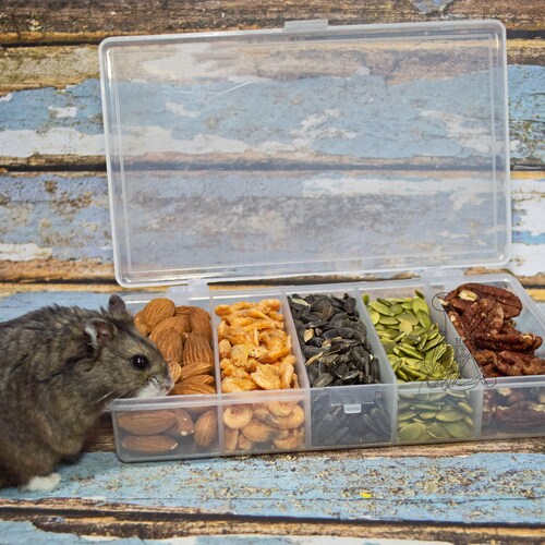 Personalized Pet Portrait Hamster Portrait Illustration | Etsy