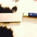 Chalif Kosher Slaughter Knife, Made to Order, Various Options Available ...