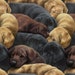 Packed Labrador Retrievers Fabric / Retriever Fabric / for the Love of ...