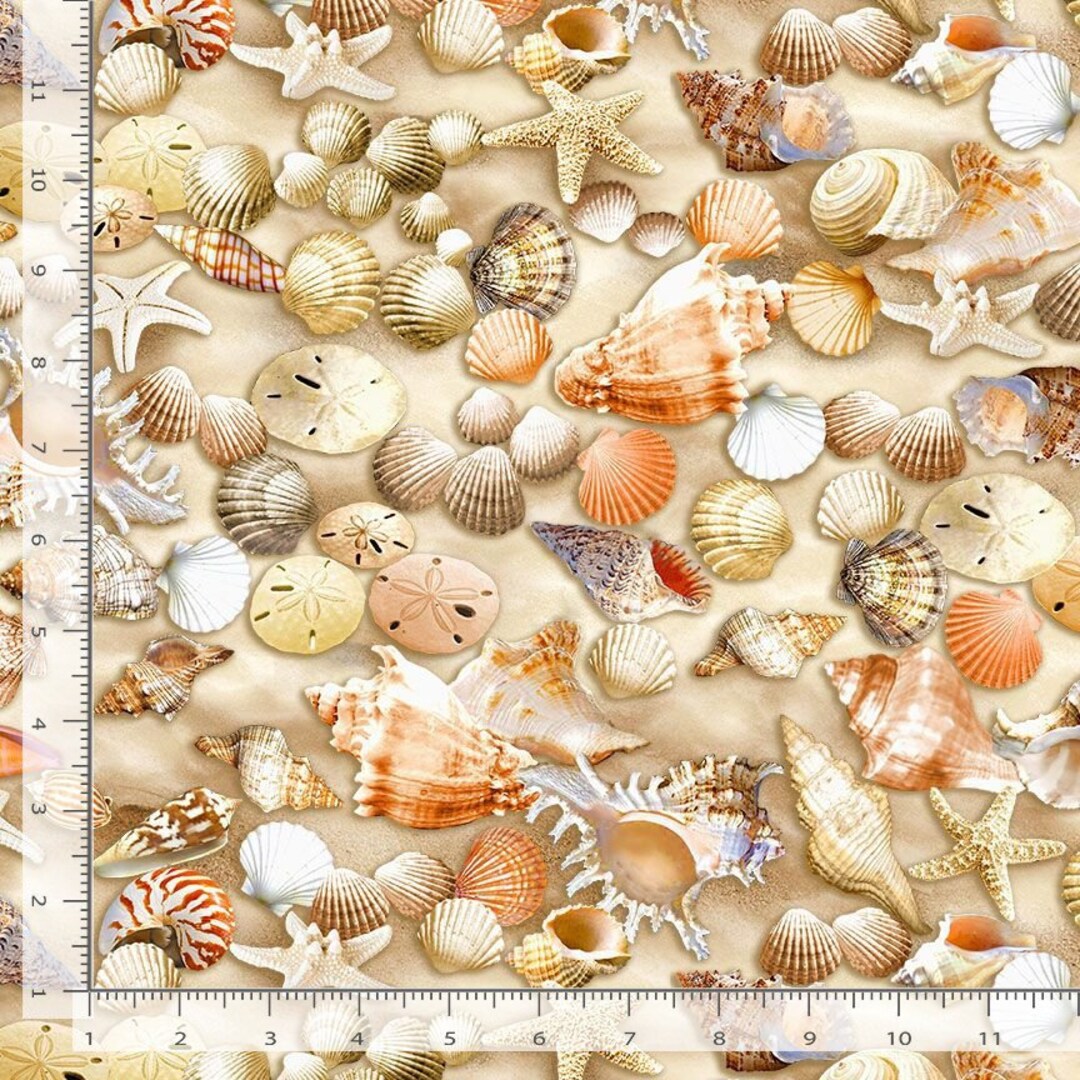 Beachcomber With Shells Fabric by the Yard by Timeless Treasures ...