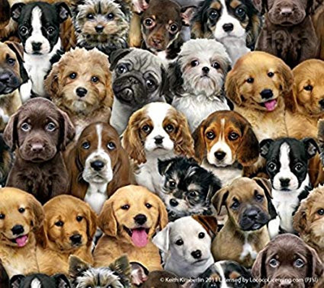 Dog Breeds Fabric / Adorable Pets Fabric / Elizabeth's Studio 3800 /dog ...
