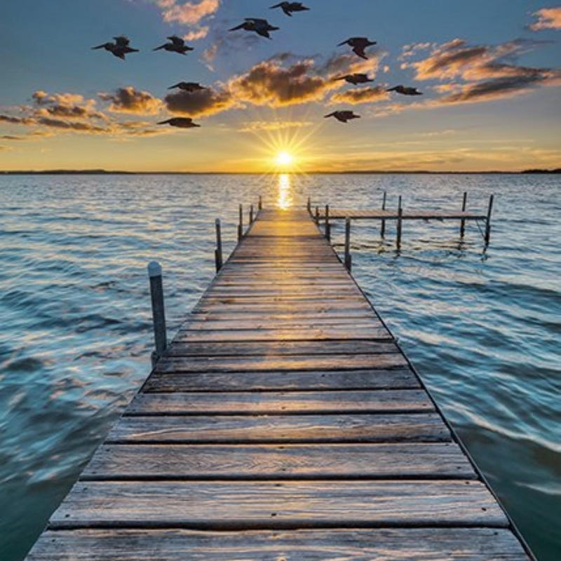 Lake Dock Panels - Etsy