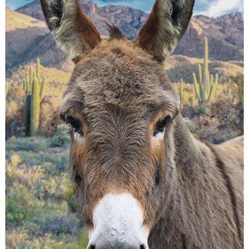 Donkey Printed Fabric - Etsy