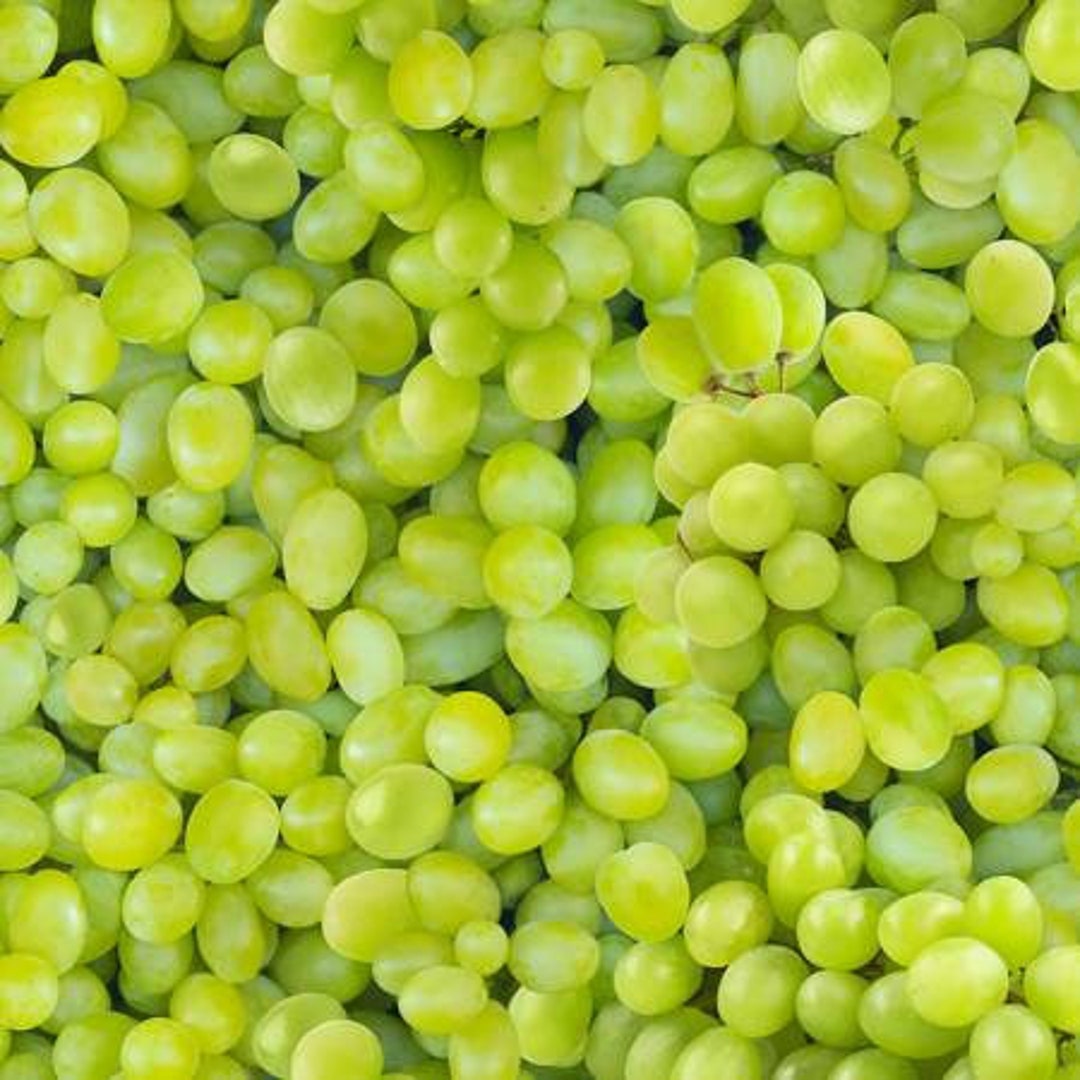 Green Grapes Fabric, Green Packed Grapes Fruit Bowl Collection by ...