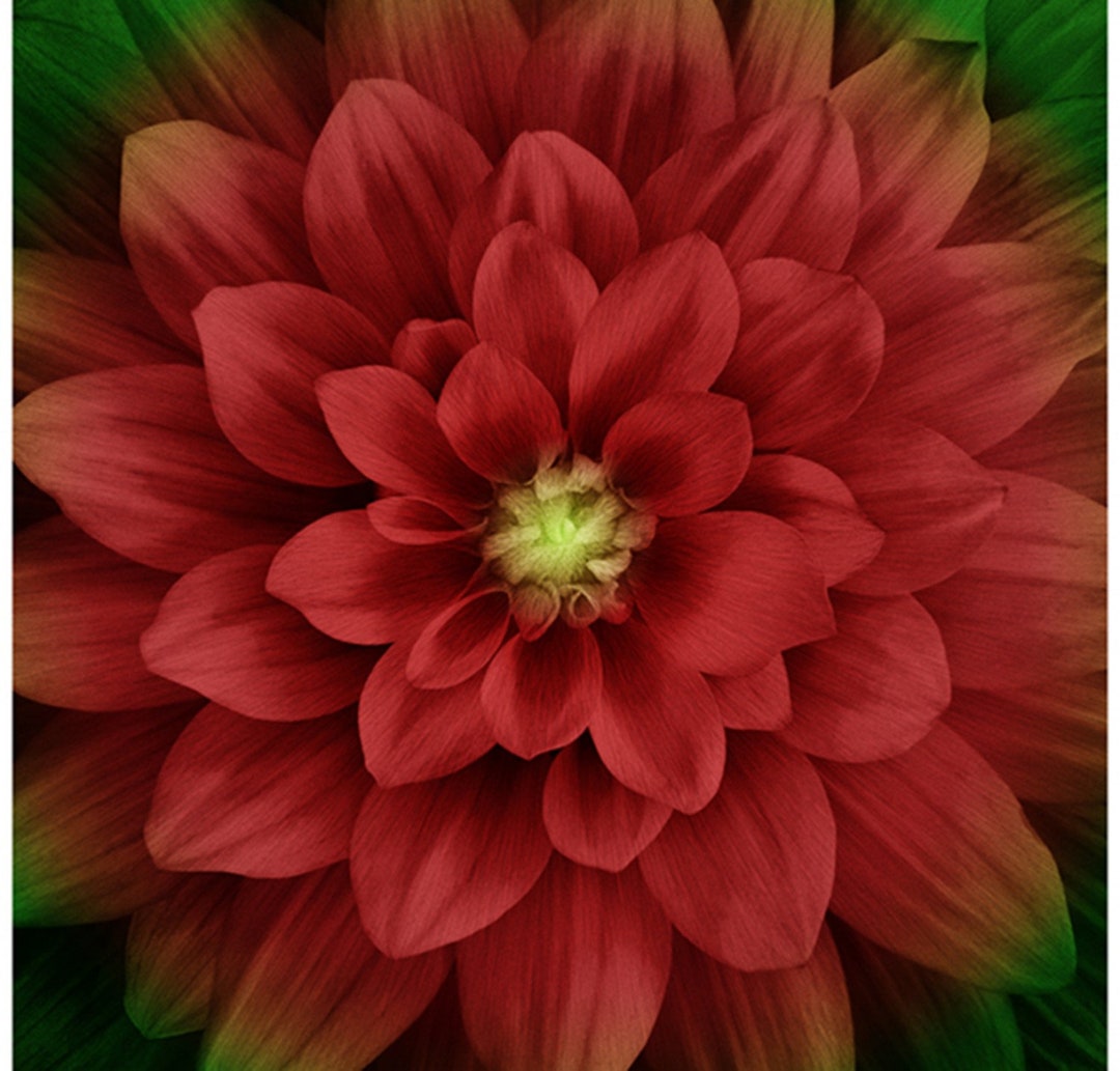 Scarlet Dream Big Flower Fabric Panel / Scarlet Quilt Panel / Hoffman ...