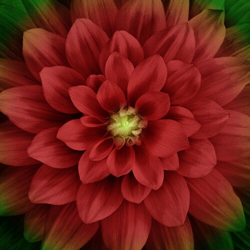 Aurora Dream Big Fabric Panel / Aurora Flower Quilt Panel / - Etsy