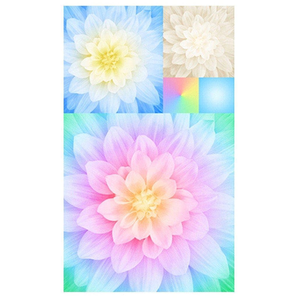 Hoffman Opal Kablooms Fabric Panel / Opal Flower Quilt Panel / Hoffman ...