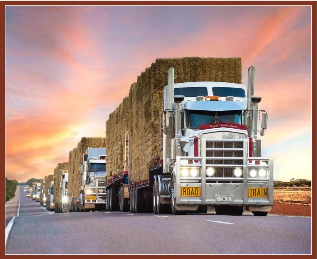 Semi Truck, Keep on Truckin' Convoy Panel / Big Rigs 36" Panel Road Trains by Kennard and ...