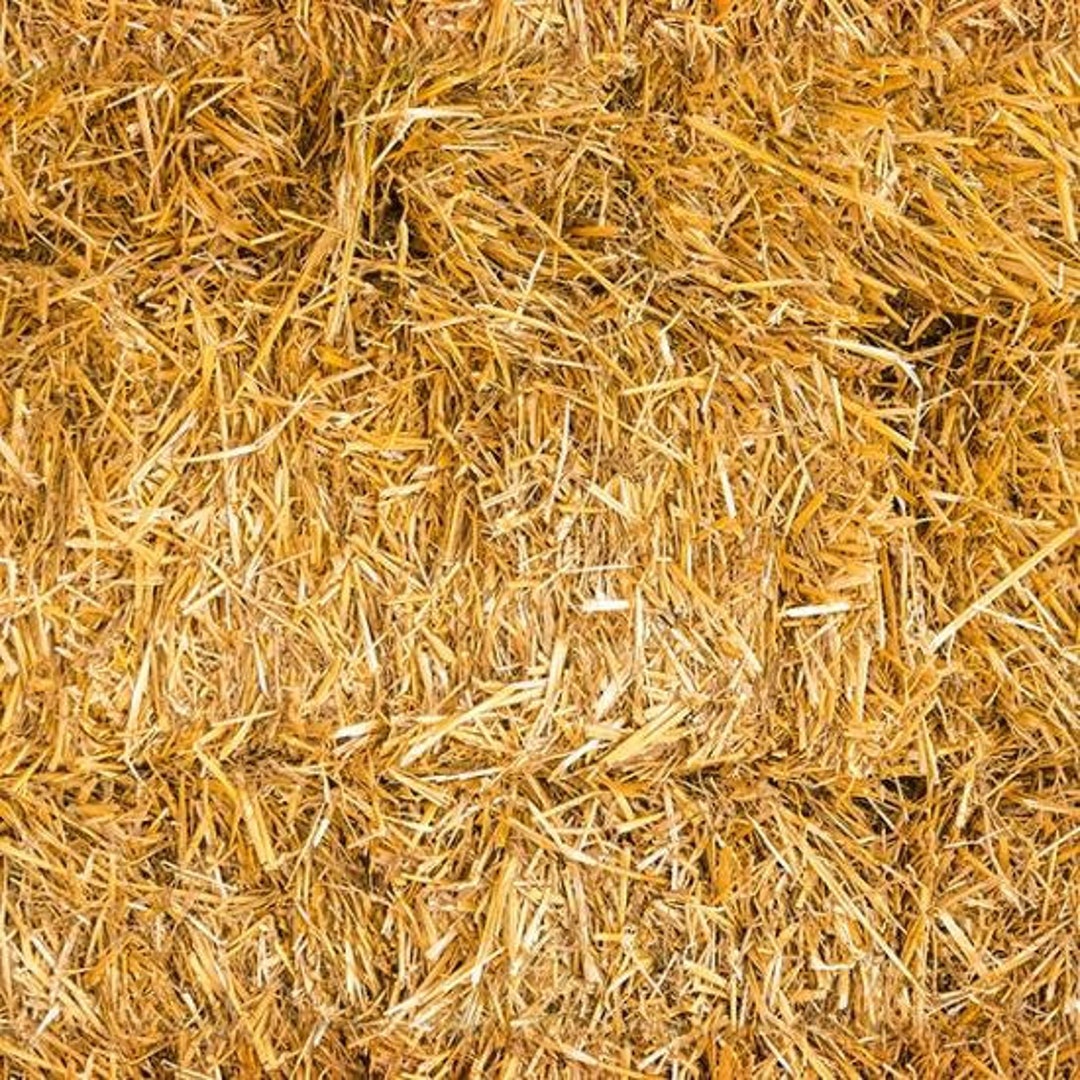Sun up to Sun Down Gold Hay Fabric Western Fabric Yardage Western ...