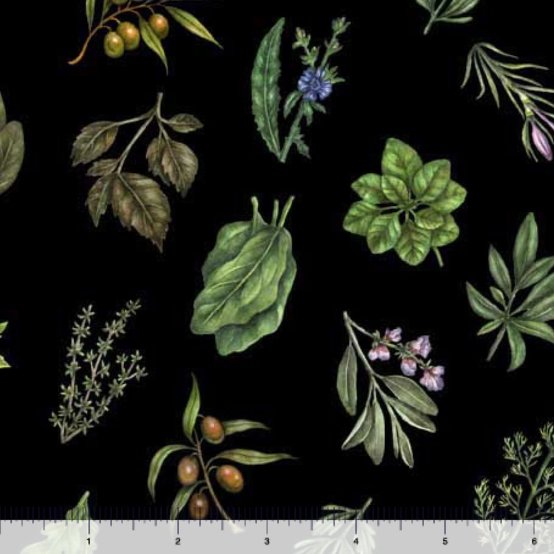 Sizzle and Spice, Fresh Herbs on Black Fabric, Cooking Herbs Spices ...