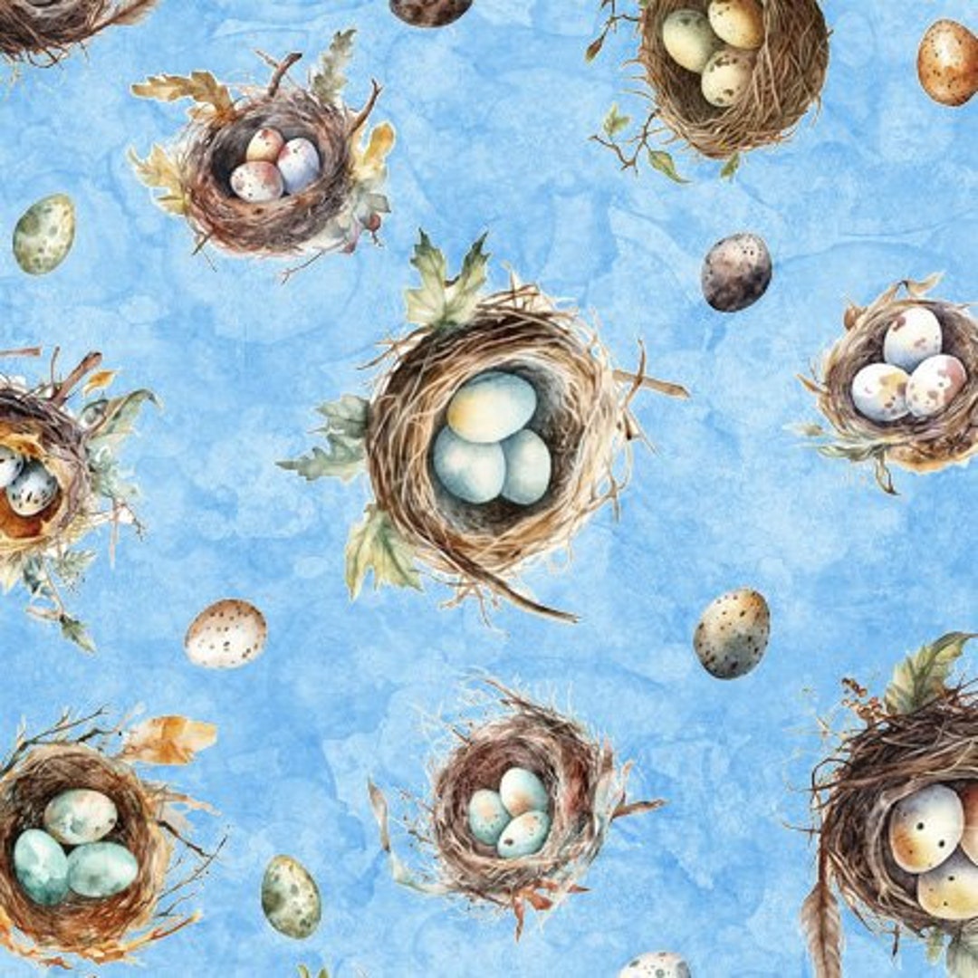 Bird Nests and Eggs on Blue Fabric / Birdsong Collection by QT Fabrics ...