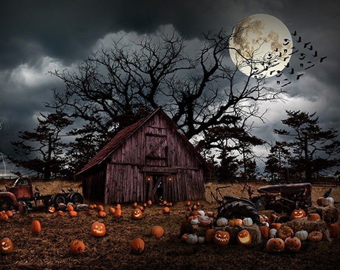 Haunted Halloween Fabric Panel / Supernova Seasons Panels / Barn and ...