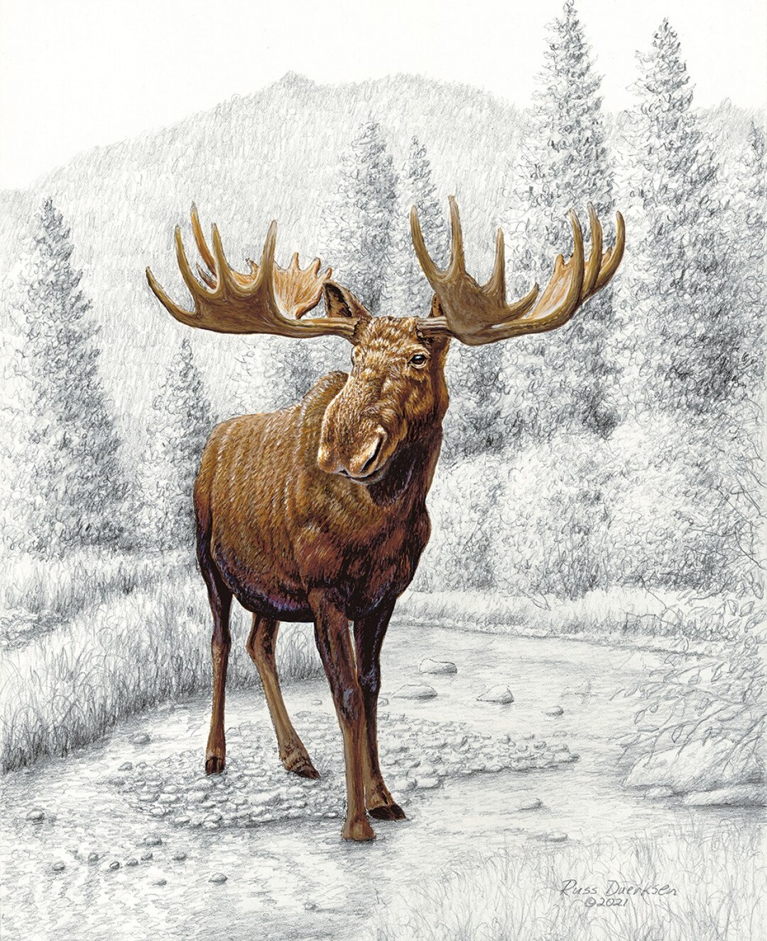 Moose Quilt Fabric Panel / Big Game Moose Pencil Painting 36x44 Inch ...
