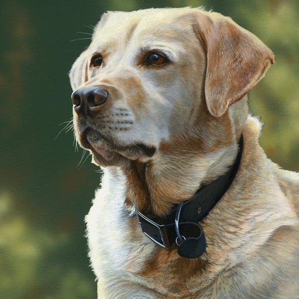 Lab Quilt Panel - Etsy