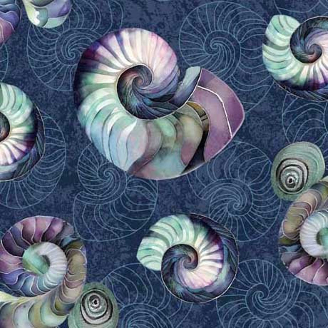 Small Shell Toss on Navy Fabric / Seashell Soiree Collection by QT ...