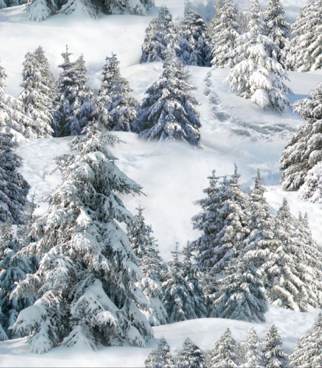 Snow Scene Winter Fabric, White / Elizabeth Sutdio's 215 Landscape ...