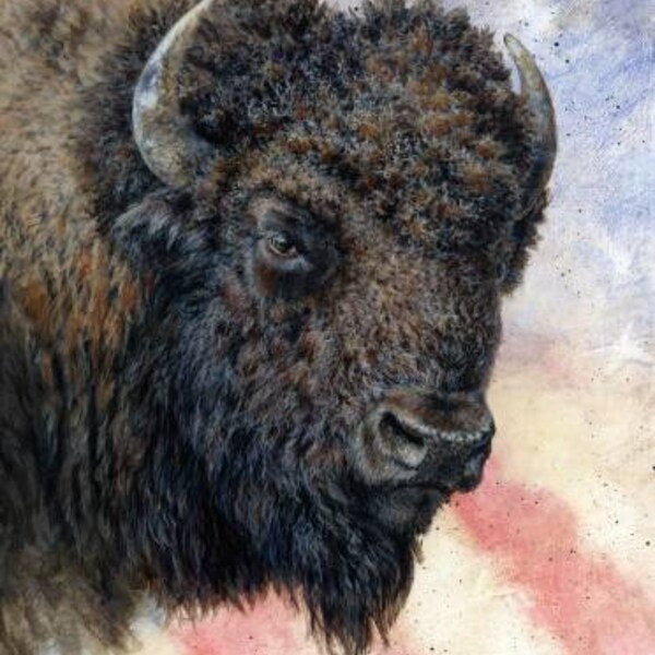 Bison - Etsy