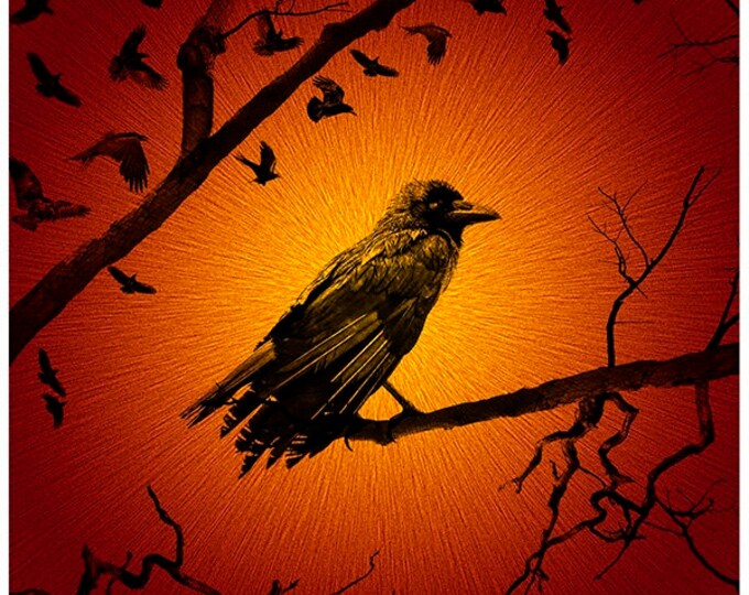 Witches Halloween Fabric Panel / Supernova Seasons Panels / Haunted ...