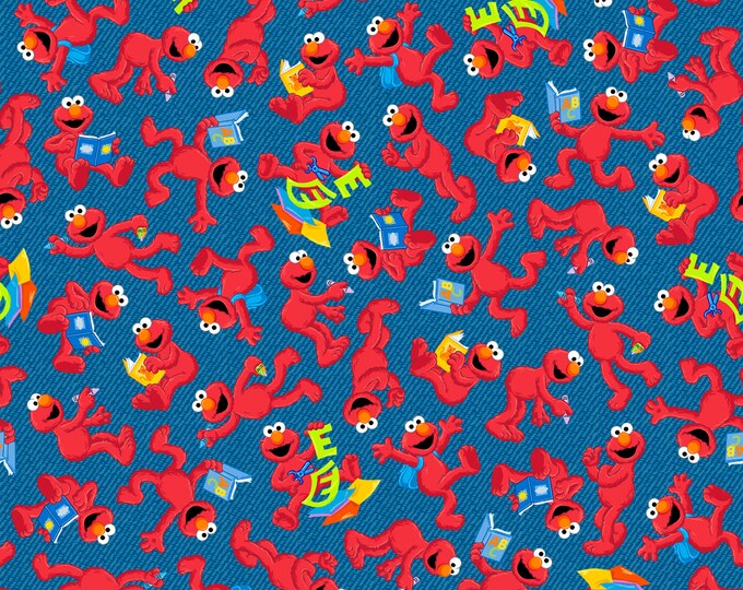 Sesame Street Fabric / Character Blocks Fabric by QT Fabrics, Sesame ...