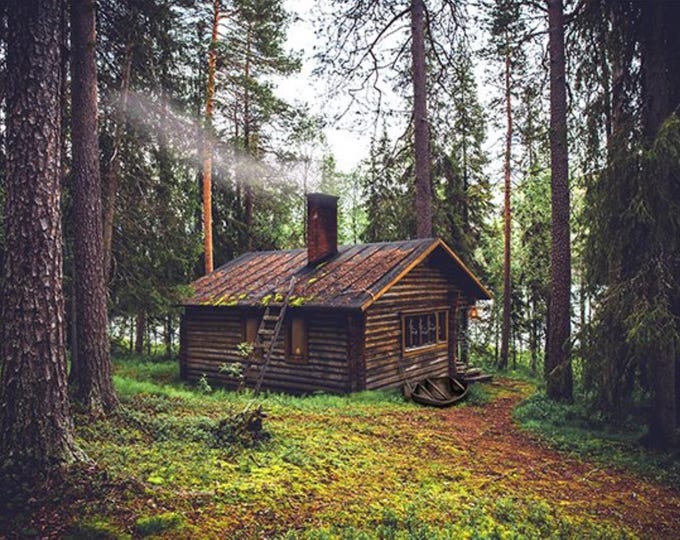 Log Cabin in the Woods 31in Panel / off the Grid by Hoffman California ...