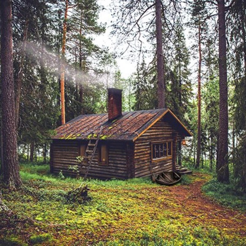 Wood Log Fabric - Etsy