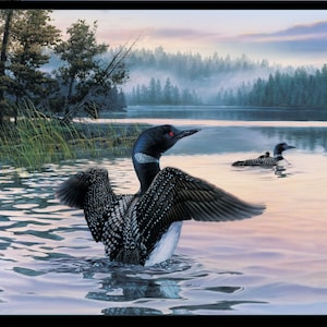 Loon Fabric Panel Loons on Lake 36 Panel by Elizabeth's Studio Sold by ...