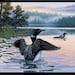 Loon Fabric Panel Loons on Lake 36" Panel by Elizabeth's Studio Sold by ...