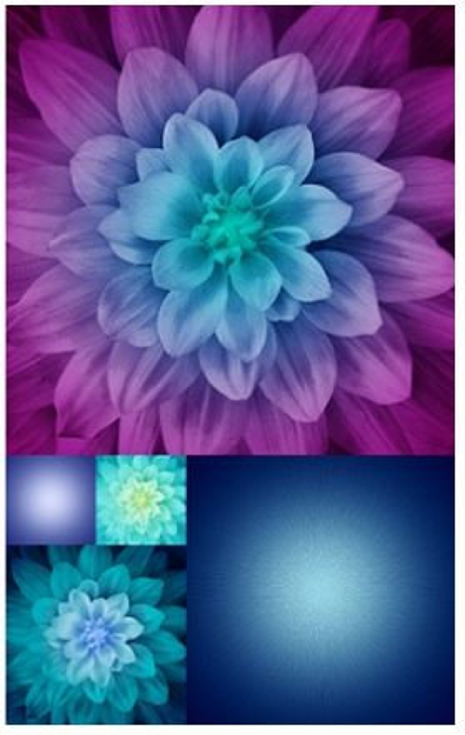 Aurora Kablooms Digital Fabric Panel / Aurora Flower Quilt - Etsy