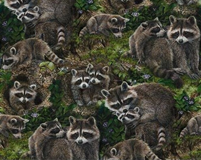 Raccoon Fabric, Little Rascals Naturescapes by Northcott Fabric ...