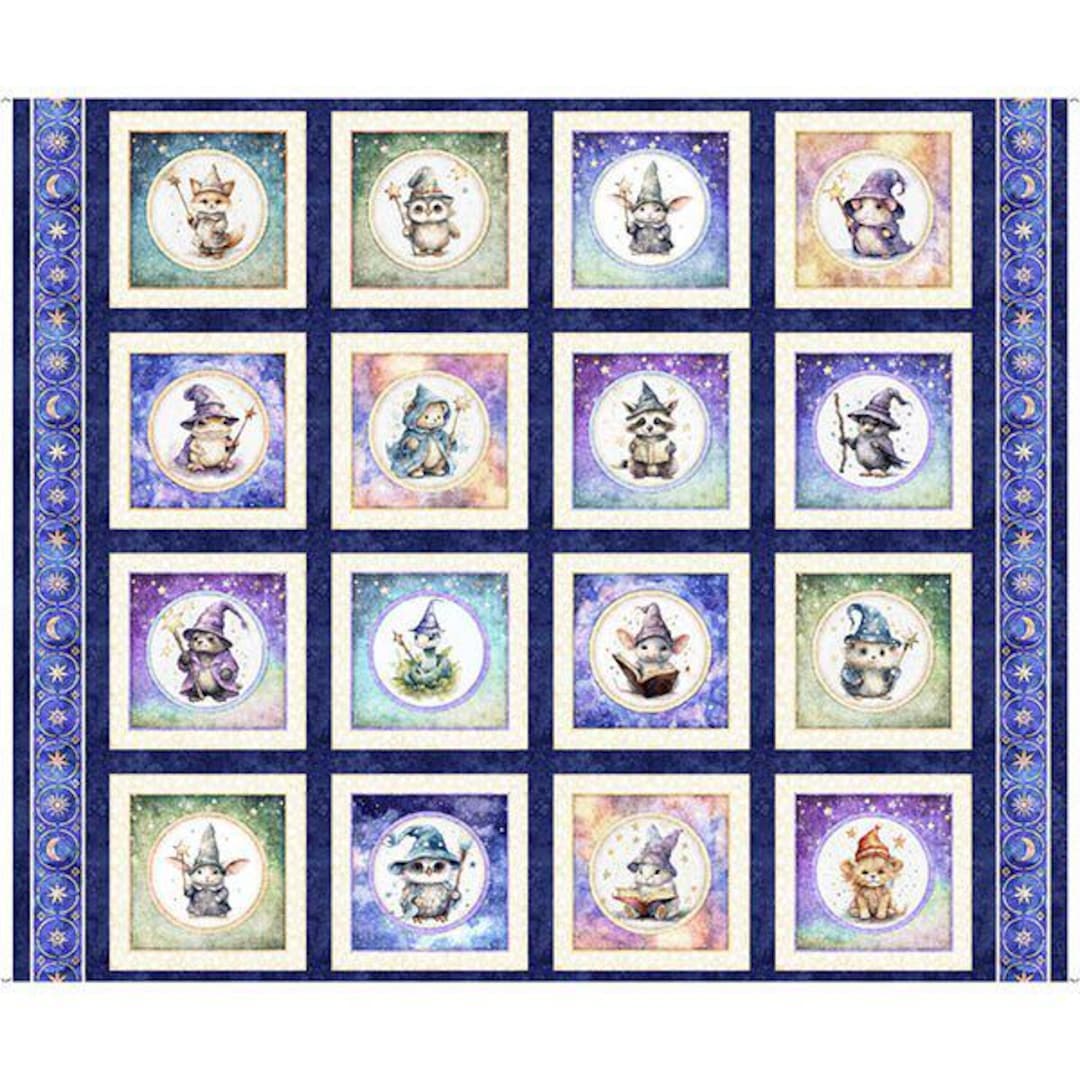Lil' Wizards Picture Patch 36" MINKY Panel by Quilting Treasures Little ...
