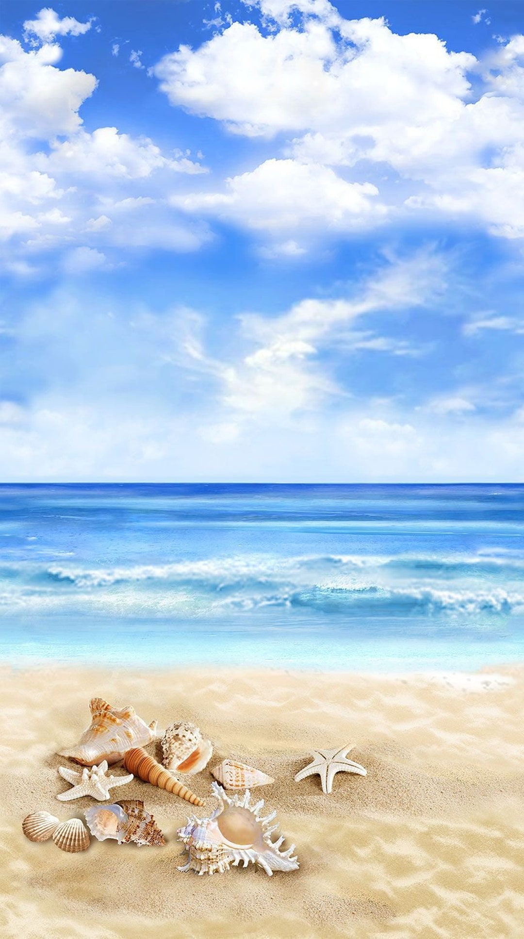 Beachcomber With Shells 24" Panel by Timeless Treasures Quilt Fabric ...