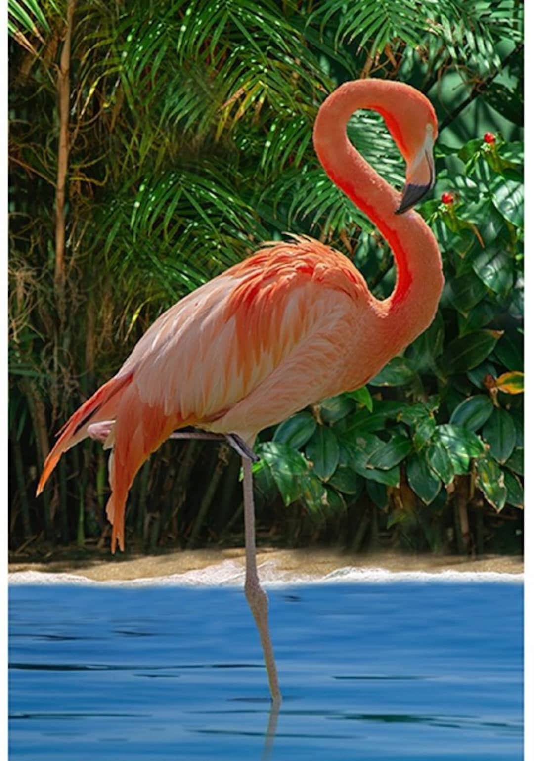 Flamingo Call of the Wild Pink Flamingo Bird Panel 42/43"x31" by ...