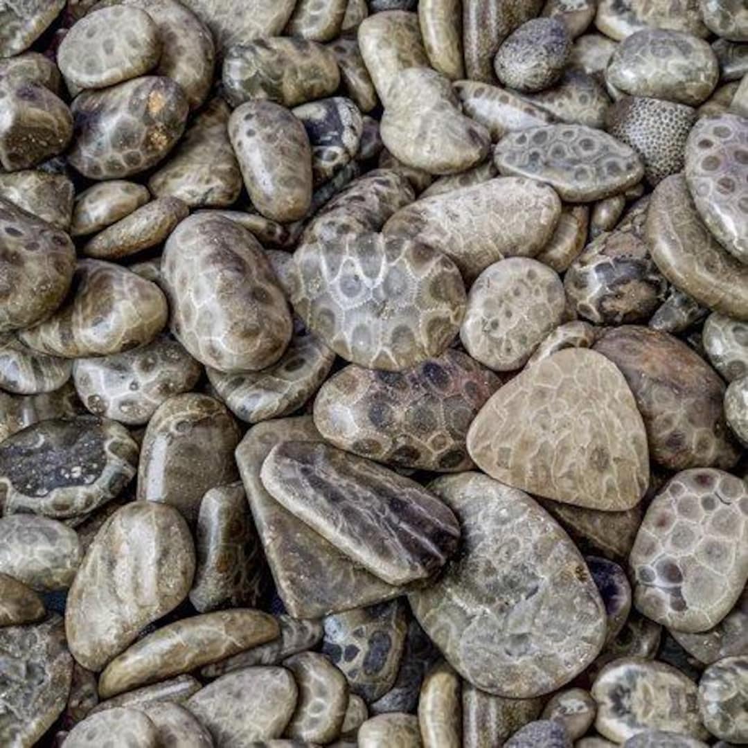 Petoskey Rocks Fabric Toss / Stones Fabric / This & That From QT ...