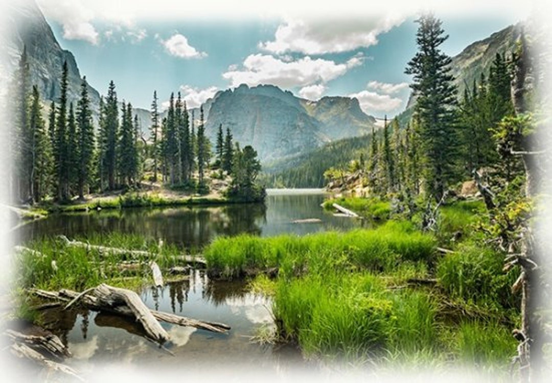 Lake & Pines Fabric Panel / Call of the Wild Earth Forest Lake Panel ...