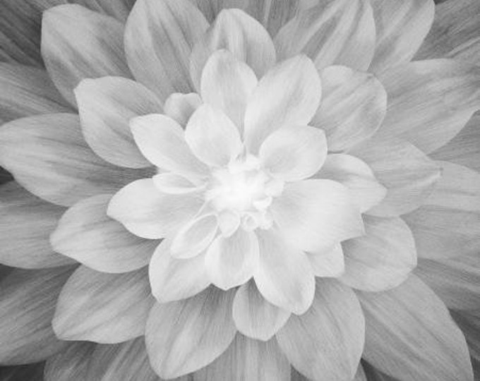 Hoffman Onyx Dream Big Fabric Panel / Onyx Flower Quilt Panel / Hoffman ...