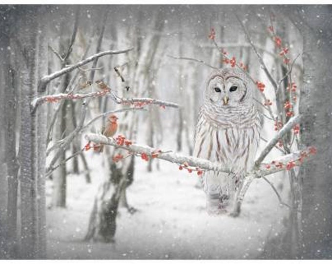 Birch Call of the Wild Owl Panel 30in X 43-1/2in by Hoffman Quilting ...