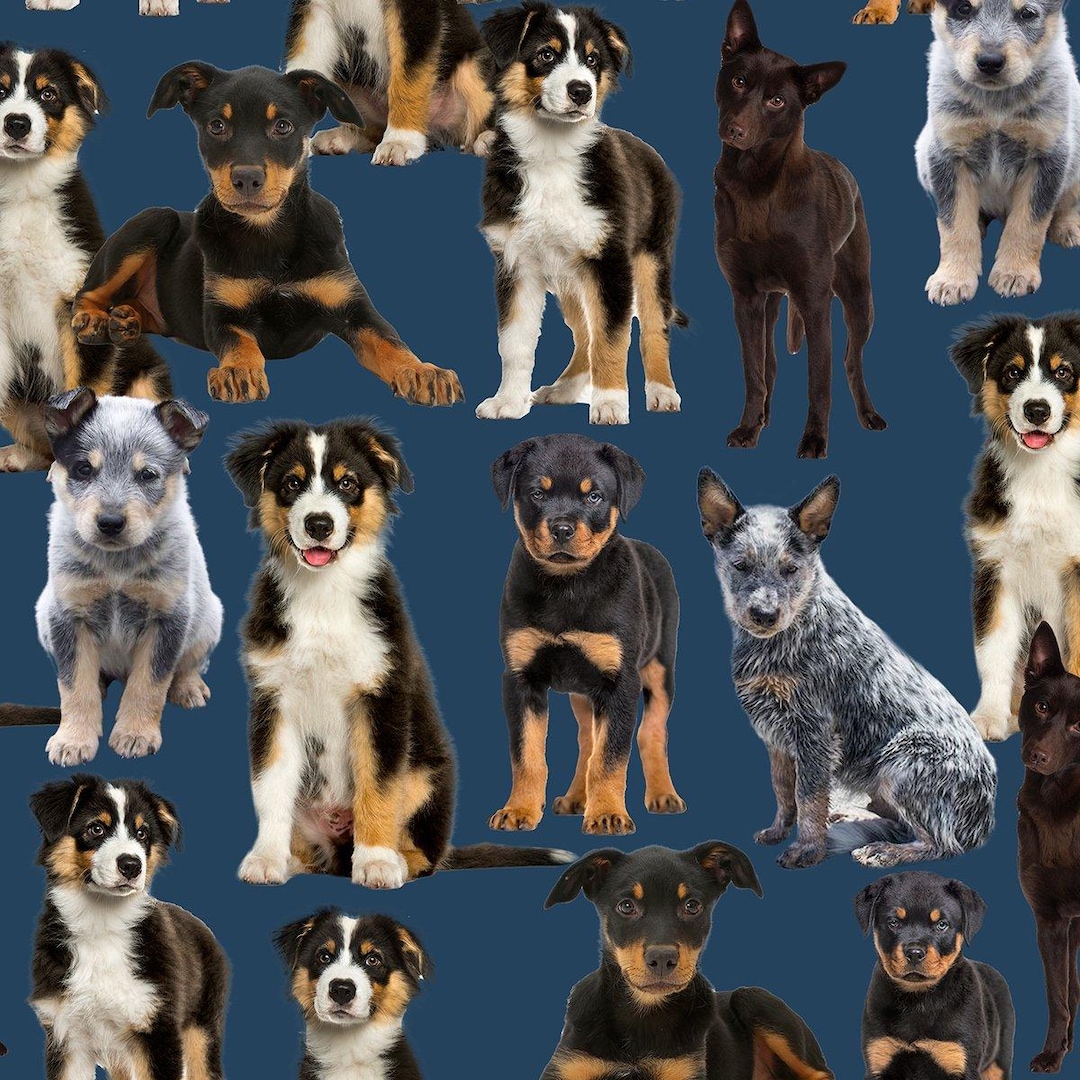 Mixed Herding Dogs Puppy Fabric / Merino Muster II by Kennard and ...