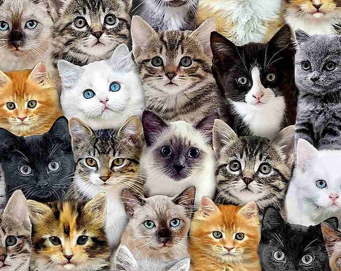 Packed Realistic Cats on Cream Fabric by Timeless Treasures Kitties ...