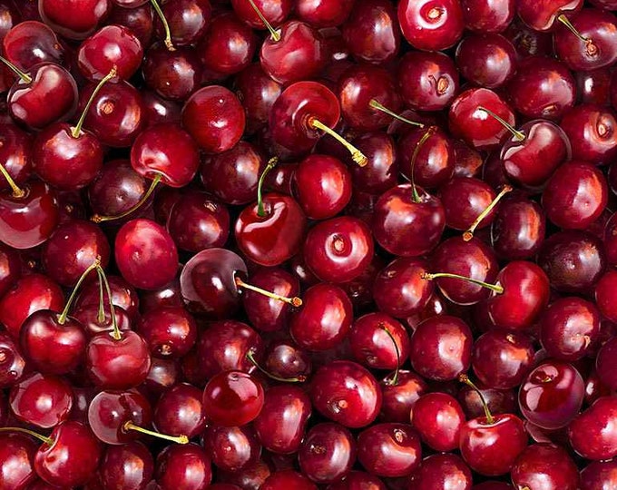 Fresh Packed Cherries Fabric Fruit by Timeless Treasures Fabric ...