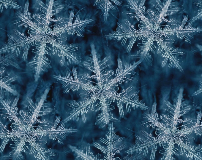 Snowfall Snow Flakes on Navy Winter Fabric by Hoffman / Snowfall ...