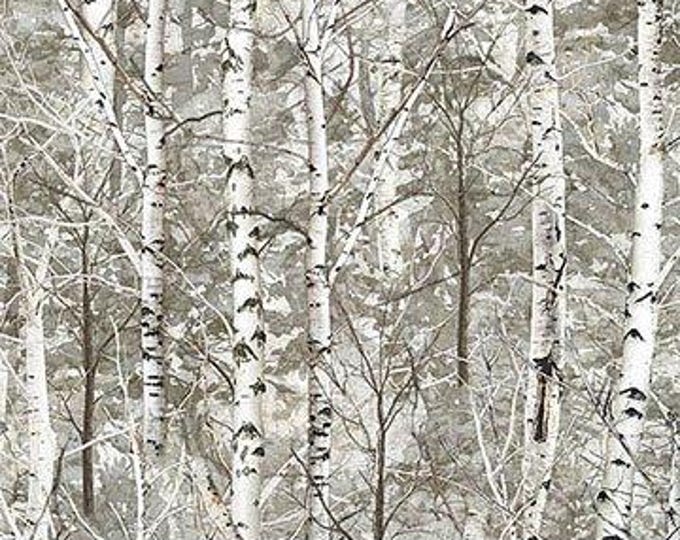 Birch Trees on Taupe Wild at Heart by Northcott Naturescapes Landscape ...