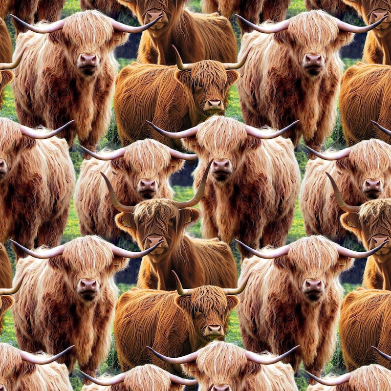 Highland Cow Fabric - Etsy
