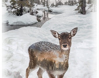 Lake & Pines Fabric Panel / Call of the Wild Earth Forest Lake Panel ...