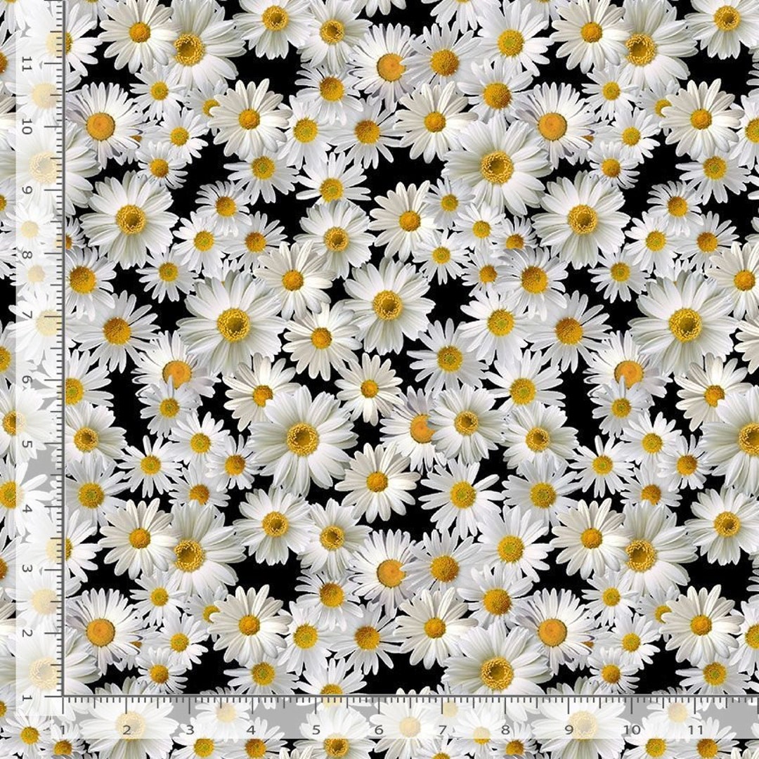 Blooming Packed Daisies Fabric / Timeless Treasures Floral Daisy Fabric ...