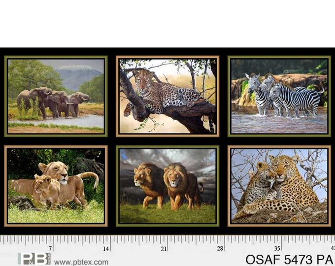 African Animal Block 24" Panel on Safari by P&B Textiles Elephant ...